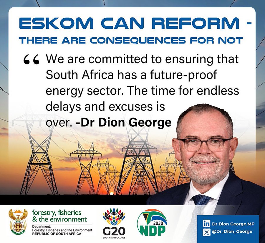 Dear Minister Dion George, please do not shut down Eskom – Vuslat Bayoglu